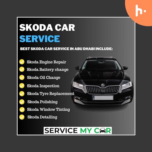 The Most Common Problems with Skoda Vehicles : Mark Meyer: Amazon.in ...