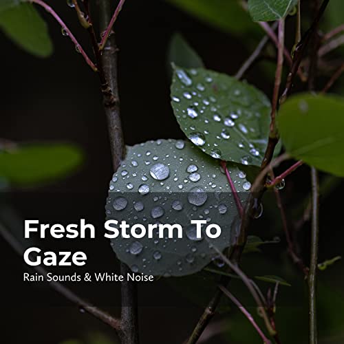 Fresh Storm To Gaze von Rain Sounds & White Noise & Raindrops Sleep & Sleep Rain bei Amazon ...