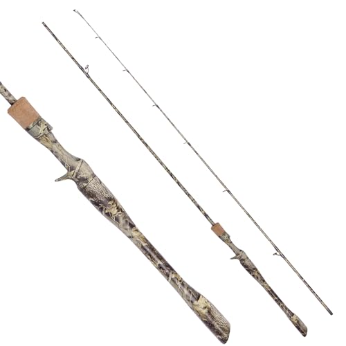 Top 10 2 Piece Fishing Rod of 2022 - Katynel