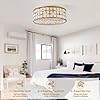 Amazon.com: HLMRCHEN Shell Design Caged Ceiling Fan with Light Flush ...