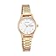 Titan Casual Watches for Women -2656WM01/NP2656WM01 : Amazon.in: Fashion