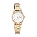 Titan Casual Watches for Women -2656WM01/NP2656WM01 : Amazon.in: Watches