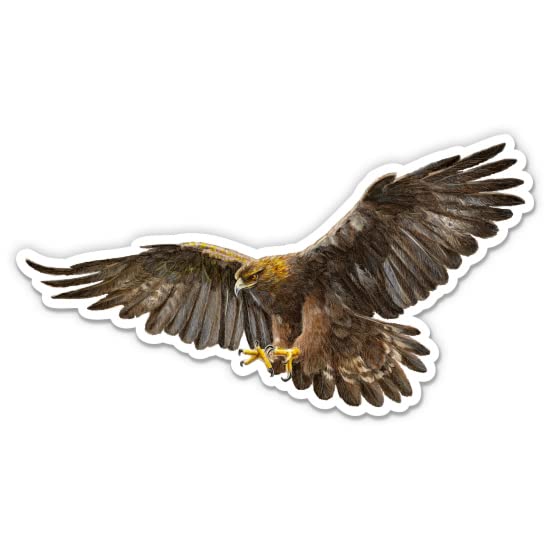 Amazon.com - Golden Eagle - 3" Vinyl Sticker - for Car Laptop Water ...