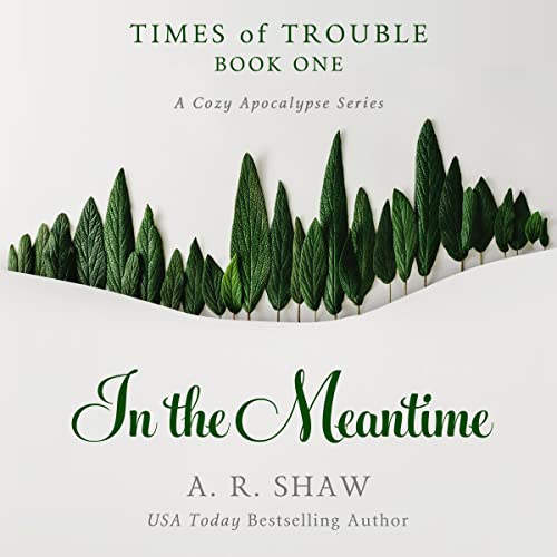 Amazon.com: In the Meantime: Times of Trouble, Book 1 (Audible Audio ...