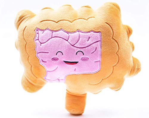 nerdbugs Intestine Plush Intestined for GreatnessColonIntestine Plush ...