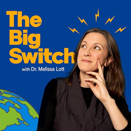 The Big Switch : Dr. Melissa Lott: Amazon.in: Books