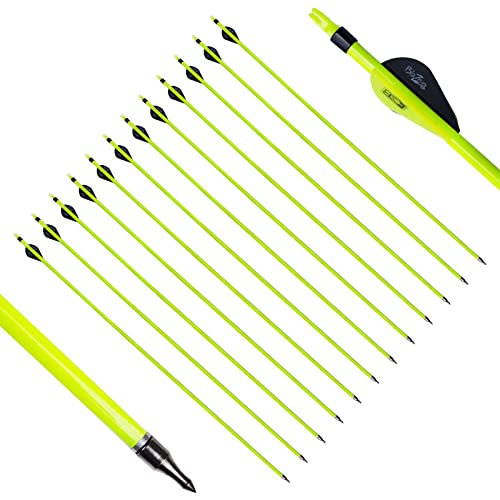 Top 10 Best Used Compound Hunting Bow : Reviews & Buying Guide - Katynel