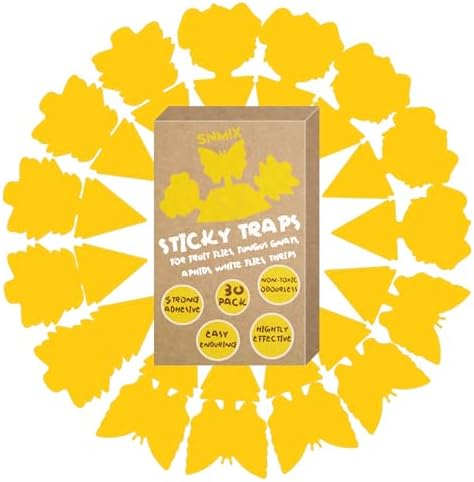 SNMIX Fruit Fly Trap, 30 Pack Yellow Sticky Traps for Fungus Gnat Flies ...