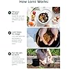 Lomi Cap Bundle | World's First Smart Waste™ Electric Kitchen Composter ...