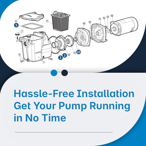 Hayward Super II Pump Series 3000X O-Ring Seal Repair Kit