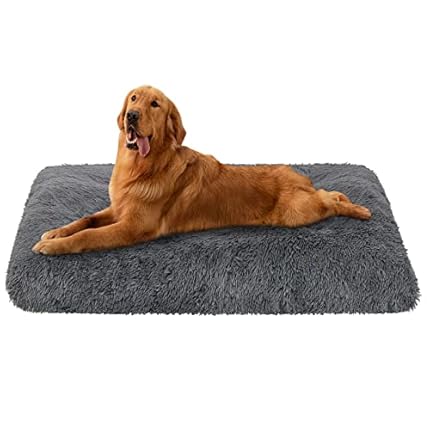 30 Best Extra Large Dog Beds of 2024 - Beds for Jumbo Dogs - Cherry Picks