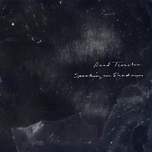 Amazon.com: Speaking in Shadows : Reed Turchi: Digital Music