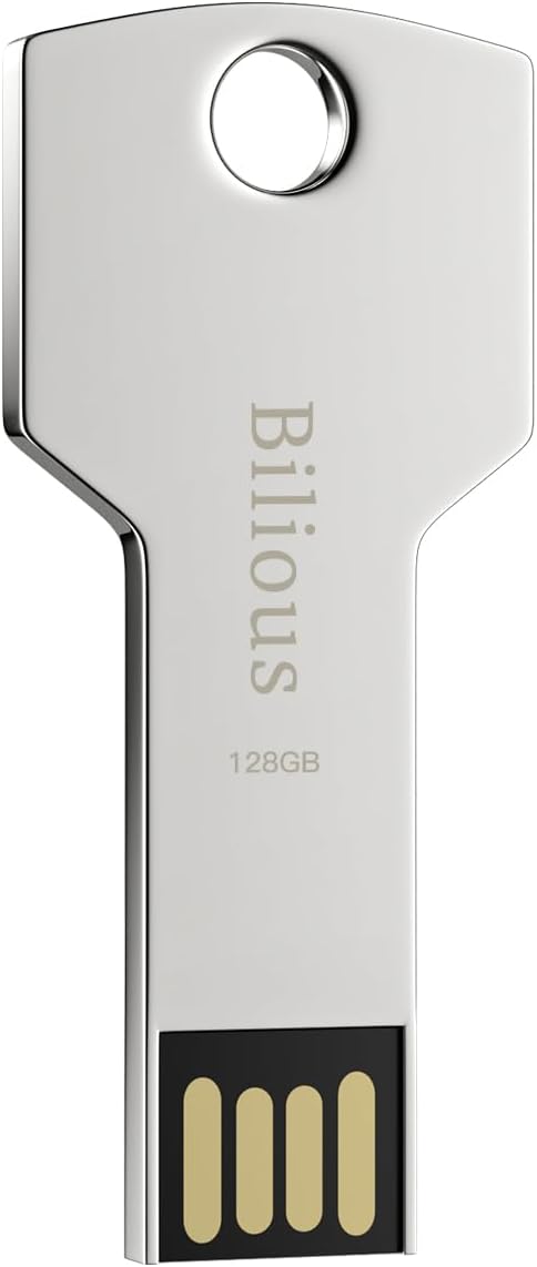 Amazon.com: Bilious USB Keychain Flash Drive 2.0 128G, Metal Style ...
