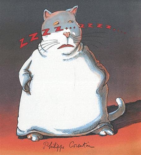 Amazon.com: zzzz zzzz: 9782211089401: CORENTIN, PHILIPPE: Books