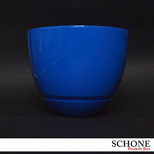 Schone FRP Desk/Table Planter Pot (Tata Blue) : Amazon.in: Garden ...