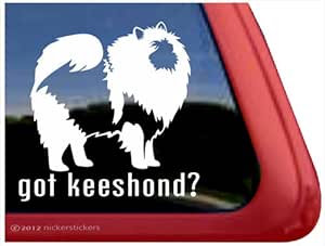 Amazon.com - Got Keeshond? ~ Keeshond Vinyl Window Auto Decal Sticker ...