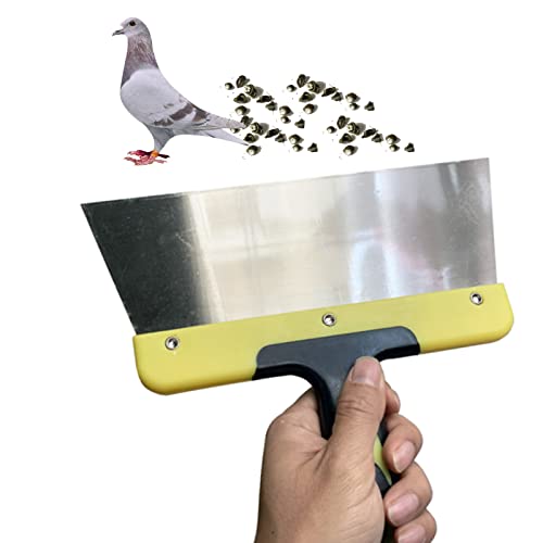 Snapklik.com : Bird Droppings Clean Pigeon Droppings Scraper Straight ...
