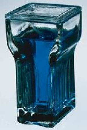 Amazon.com: Large Glass Coplin Staining Jar : Industrial & Scientific