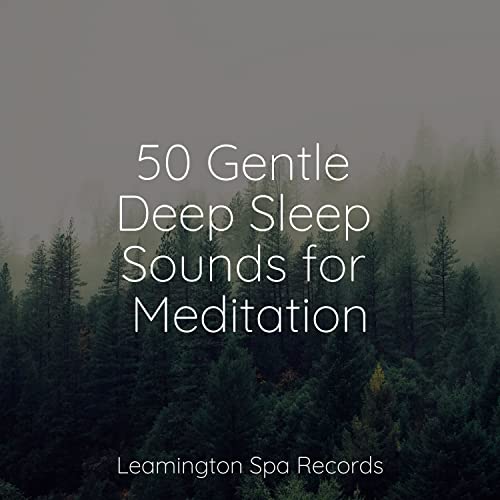 Play 50 Gentle Deep Sleep Sounds for Meditation by Deep Horizon Waves ...