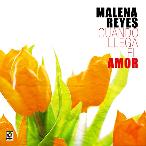 Amazon.com: Cuando Llega el Amor : Malena Reyes: Digital Music