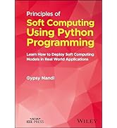 Principles of Soft Computing Using Python Programming: Learn How to ...