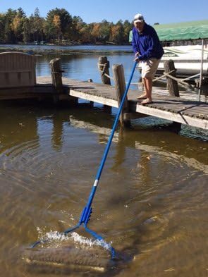 Amazon.com : Beachroller - Weeds Muck Silt Gone! Lake Weed Removal Plus ...