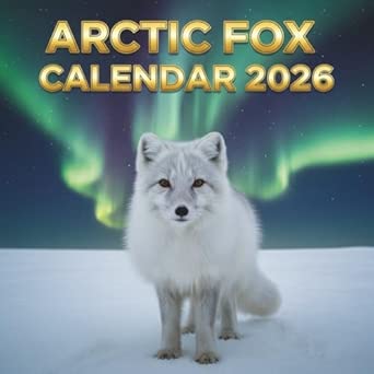 Amazon.com: Arctic Fox Calendar 2026: A Year of Stunning Arctic Beauty ...