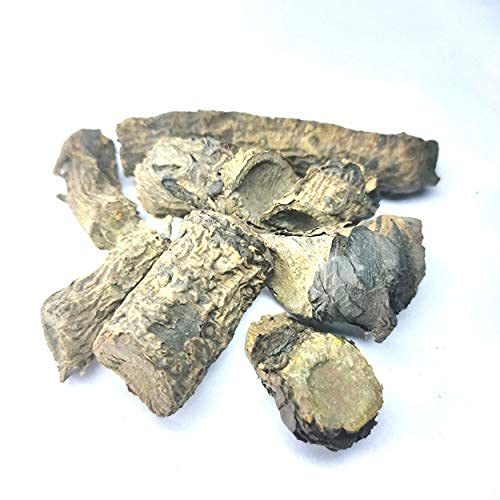 Buy Pashanbhed Lakdi-Pashan Bhed (Patharchatta) Root-Pakhanved Jadd ...