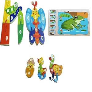 Buy Kinder Creative Butterfly Life Cycle Puzzle,Frog Life Cycle ...