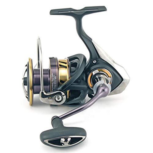 Legalis Lt – Die 15 besten Produkte im Vergleich - Die besten Angel ...