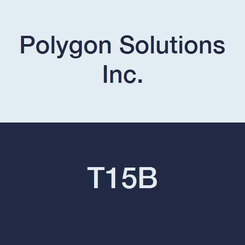Polygon Solutions T15B M-2 Torx Rotary/Wobble Broach: Amazon.com ...