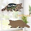Amazon.com: Laozai Wooden Forest Animals Raccoon Decor Cabin Rustic ...