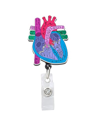 Amazon.com: Anatomical BLUE Heart Acrylic Badge Reel, Cardio Nurse ...