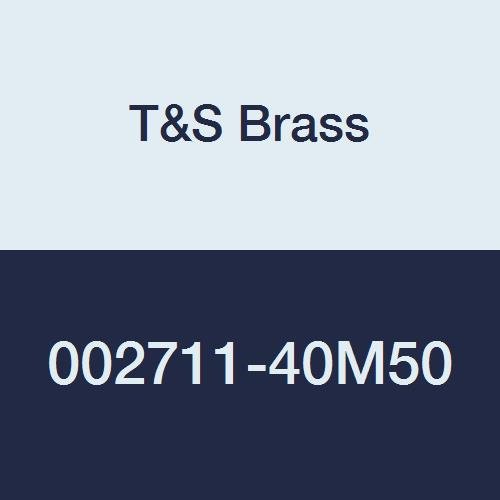 Amazon.com: T&S Brass 002711-40M50 Eterna Spindle Assembly, Spring ...