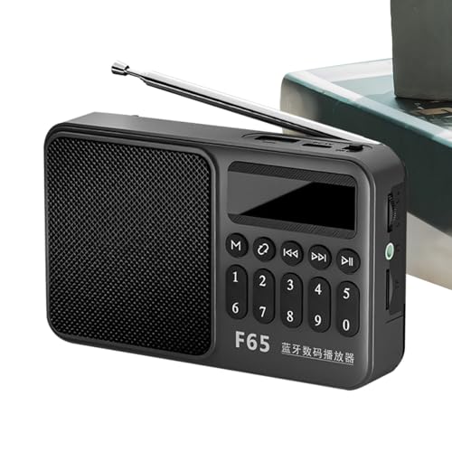 ZHIWHIS ZWS-787ラジオレビュー：多機能小型ラジオの驚きの実力 - ZeroReview