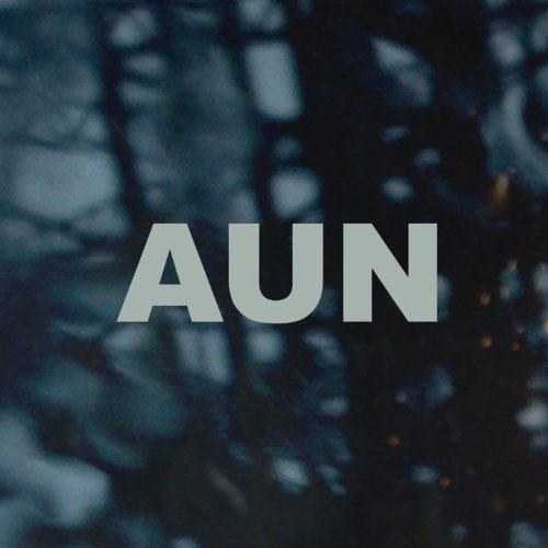 Amazon.co.jp: Mule [Clean] : AUN & Martin Dumais: デジタルミュージック