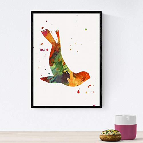 Comprar los mejores pósters de focas