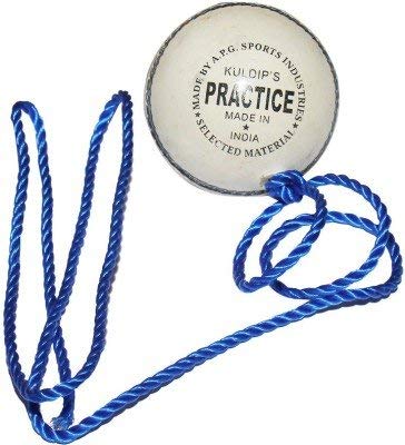 Sun Fly Practice Leather Cricket Ball for Bat Knocking Pack of 1 ...