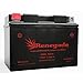 Replacement AGM battery for Cub Cadet 725-17335 / 725P17335; RGZ14S ...