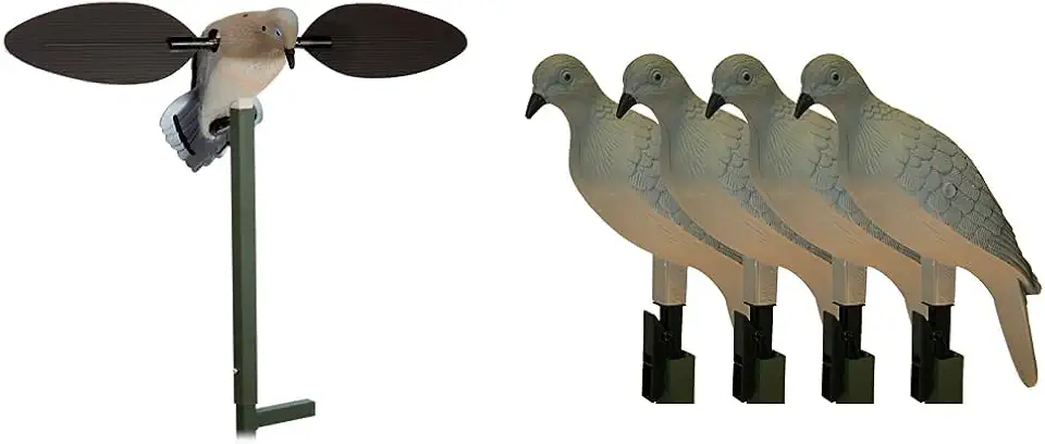 The Ultimate Guide To Baiting Doves: Tips And Tricks For Successful ...