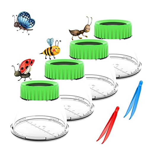 Top 10 Fascinating Kids Insect Kits for Budding Entomologists