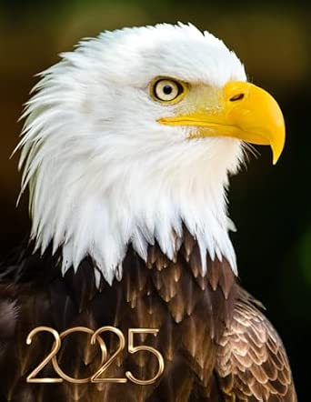 2025 Beautiful Bald Eagle Planner: 8.5" x 11" Inches Weekly Monthly ...
