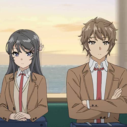 Bunny Girl Senpai - Resumen : Jeremias Salas: Amazon.co.uk: Books