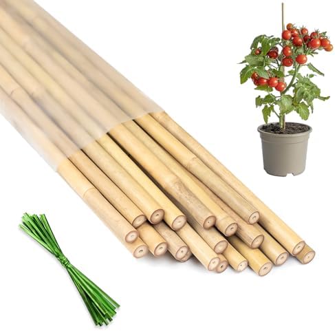 Amazon.com : Plant Stakes 12 Pack, 16 Inch Plant Support Stakes Sticks ...