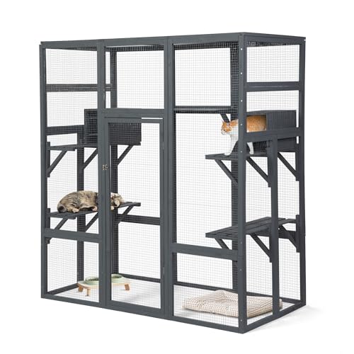 10 Best Outdoor Cat Enclosures