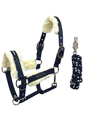 Die Top 16 der besten Halfter mit Strick hier im Überblick – Ratgeber