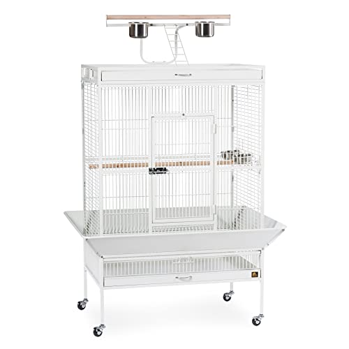5 Best Parrot Cages in 2024: Reviews & Top Picks | Pango Pets