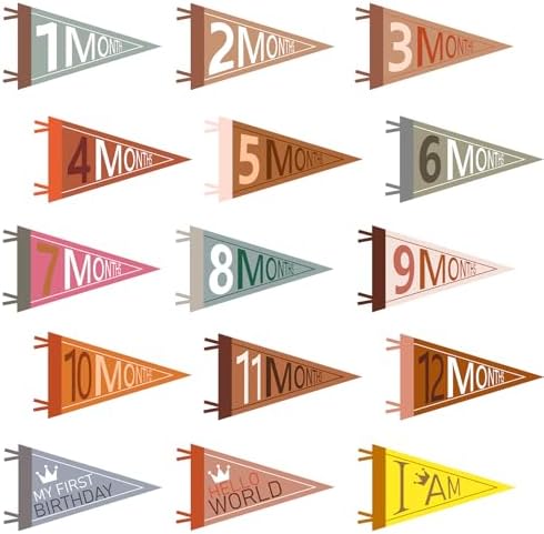 Amazon.com: ANJUU 15 Pcs Baby Monthly Milestone, Monthly Milestone ...