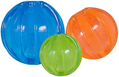 Amazon.com: JW Pet Playplace Squeaky Ball, Medium, Multicolor