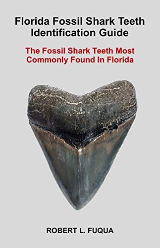 Buy Florida Fossil Shark Teeth Identification Guide: The Fossil Shark ...